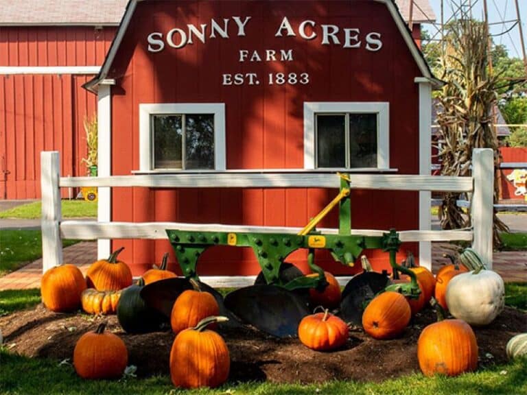 Sonny Acres Farm: Pumpkins, Hayrides, Rodeos, Parties & More!