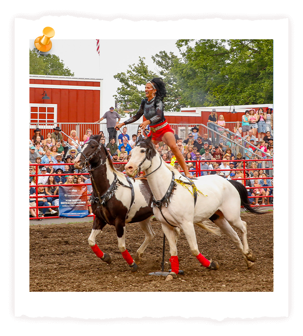 West Chicago Rodeo | The Pro Rodeo at Sonny Acres Farm